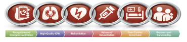 American Heart Association 2025 CPR and ECC Guideline Updates - Nicole ...