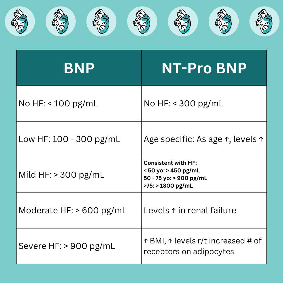 Left-Sided or Right-Sided Heart Failure - Nicole Kupchik Blog